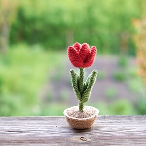 Crochet PATTERN Tulip in a Pot. Amigurumi Pattern Red Flower. Crochet ...