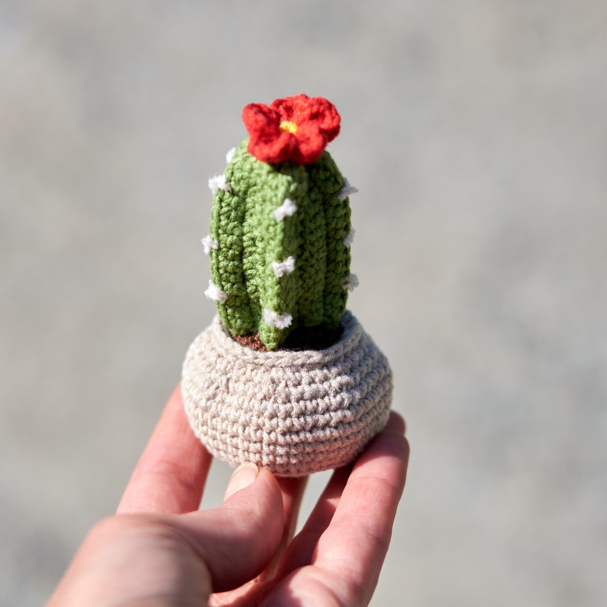 Crochet PATTERN Cactus in a Pot. Amigurumi Flower Pattern. - Etsy