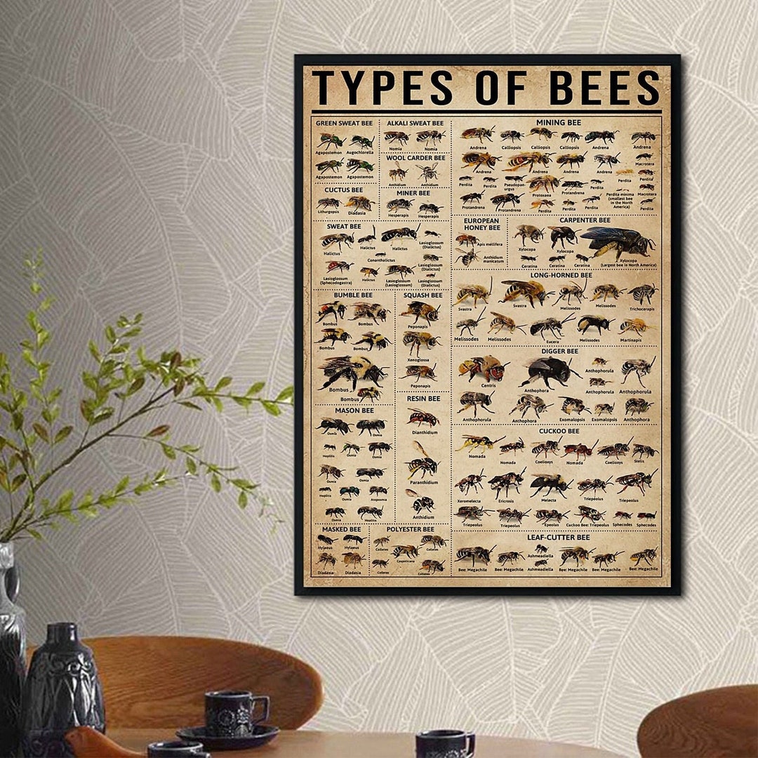 Bee Types Vertical Poster Types of Bee Poster Knowledge - Etsy