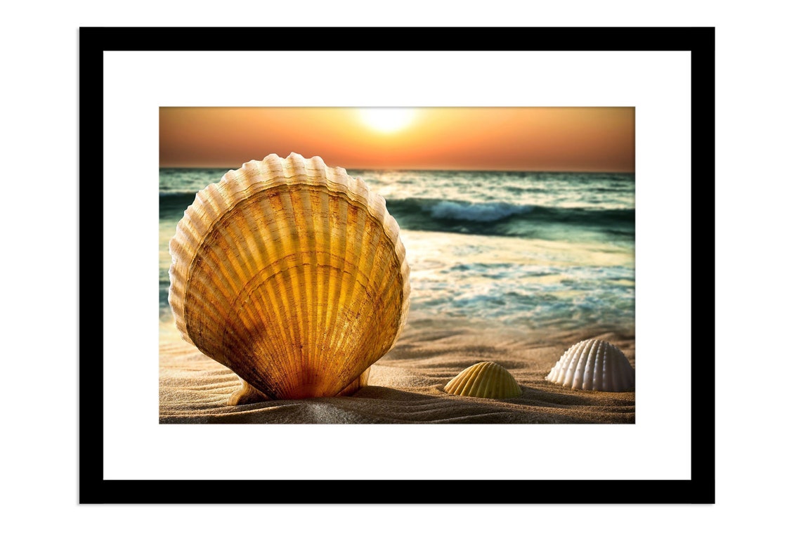 Beautiful Beach Shell Scene With Sand and Sunset Ocean Background - Etsy