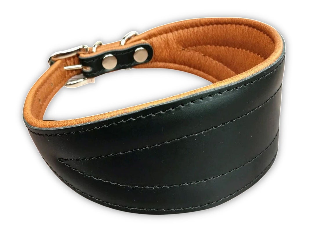 Leather Sighthound Collar Black Brown, Wide Dog Collar for Italian ...