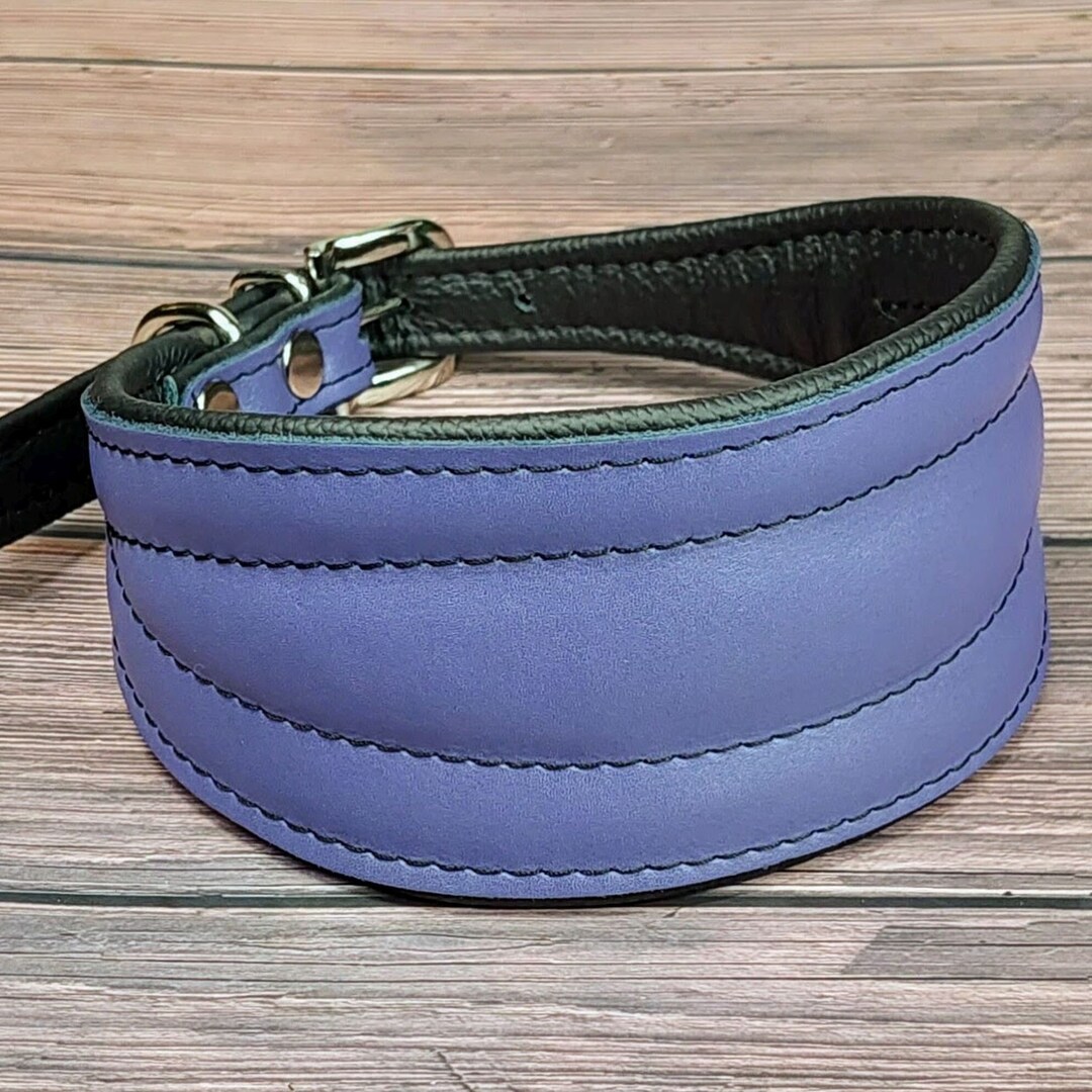 Leather Sighthound Collar Purple Black, Wide Dog Collar for Italian ...