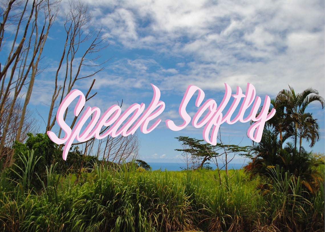 Speak Softly (small Poster) - Etsy