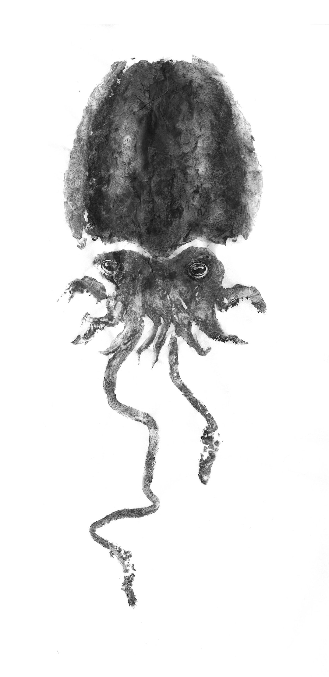 Original Cuttlefish Gyotaku, Indian Ink on Japanese Paper. Traditional ...