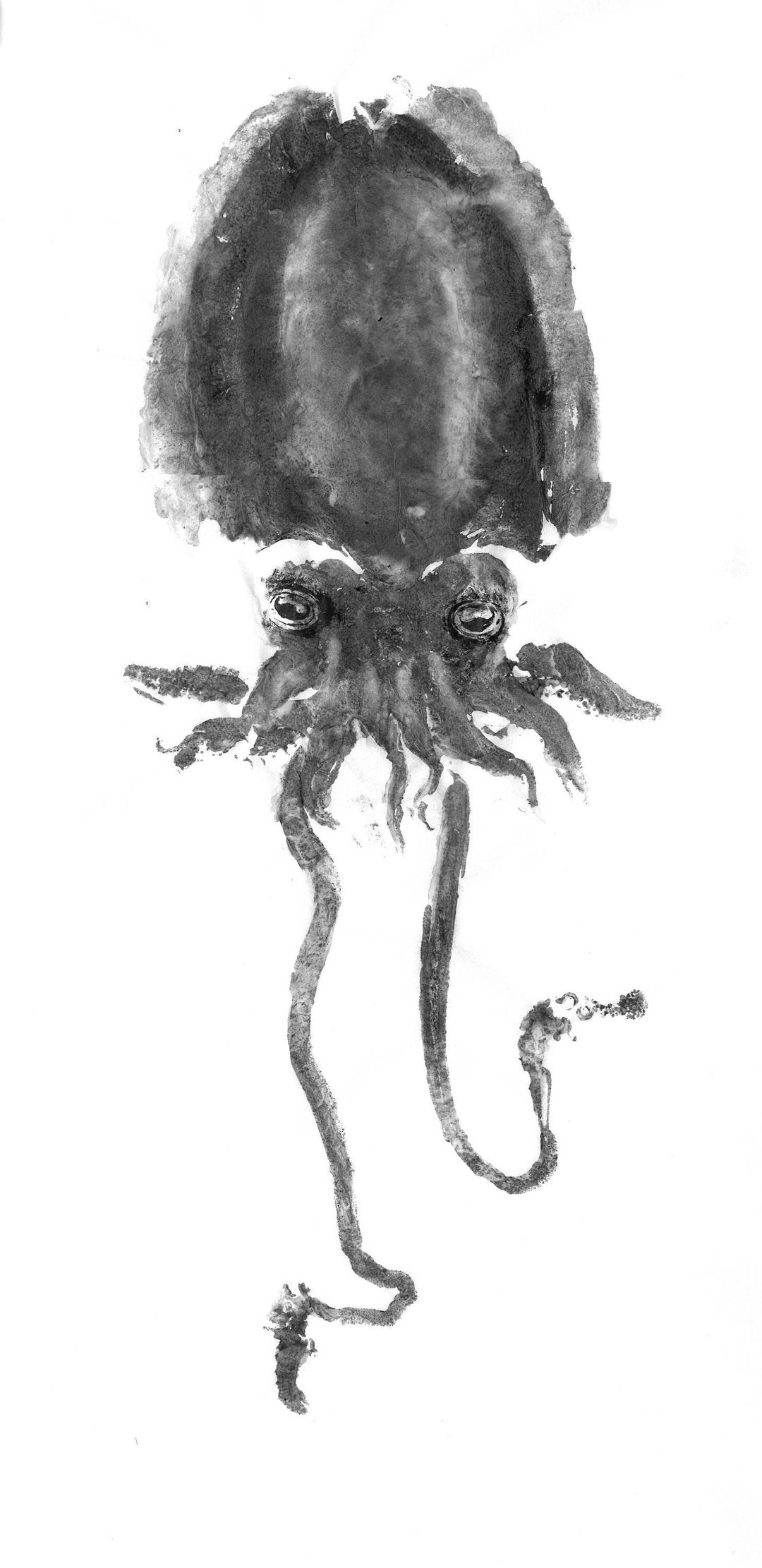 Original Cuttlefish Gyotaku Indian Ink on Japanese Paper. - Etsy