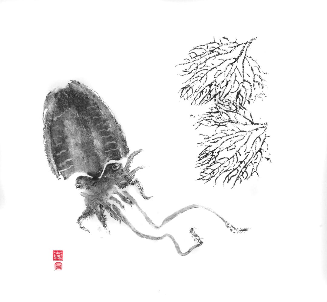 Original Gyotaku of Cuttlefish and Gorgonians, Indian Ink on Japanese ...