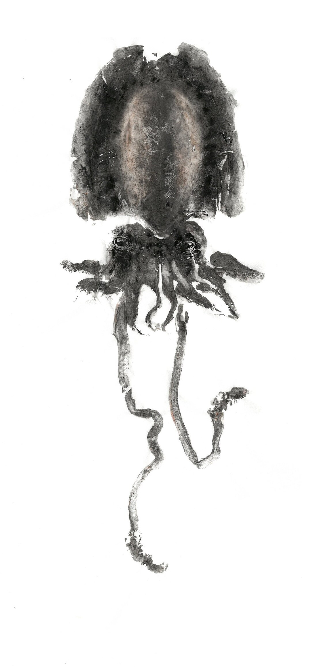 Original Cuttlefish Gyotaku, Black and Brown Inks on Japanese Paper ...