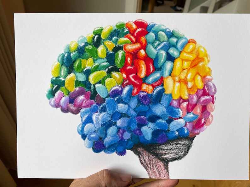 Jelly Bean Brain | Print Brain Anatomy, Psychology, Therapy Office ...