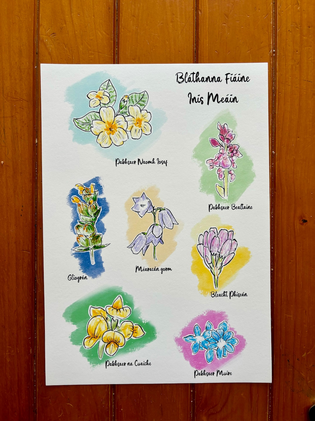 Wildflowers of Inis Meáin Print: Irish Language Art - Etsy