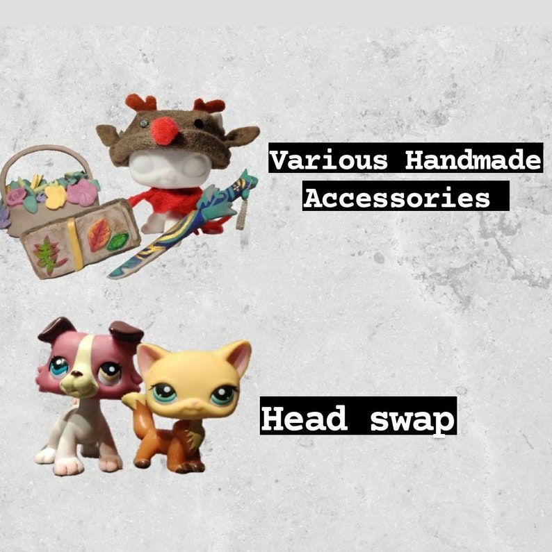 Lps Littlest Pet Shop OOAK Custom Commissions - Etsy