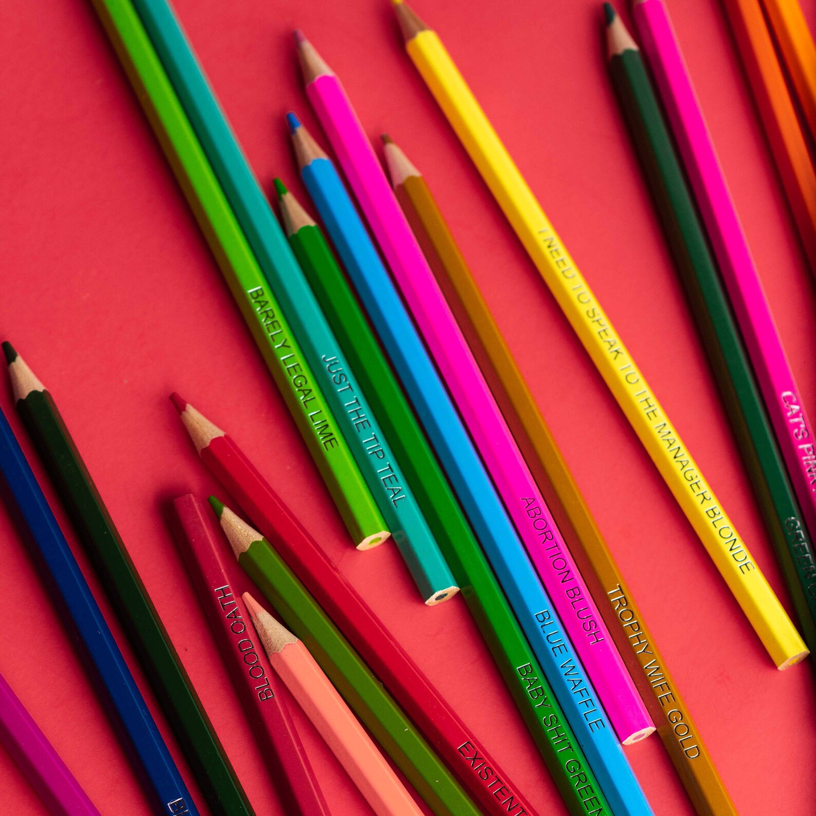 Offensive Colored Pencils, Adult Gag Gift, 48 Unique Colors - Etsy