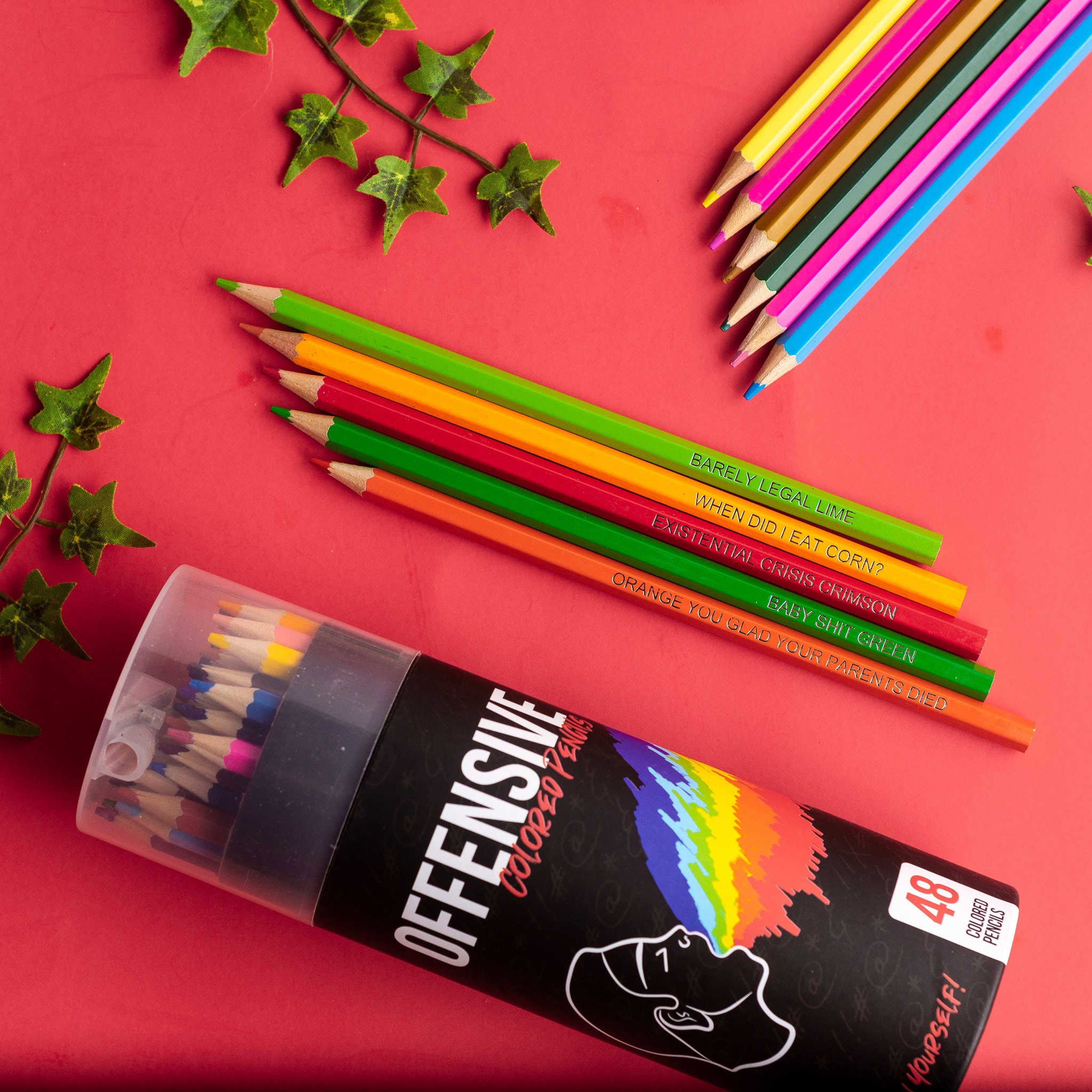 Offensive Colored Pencils, Adult Gag Gift, 48 Unique Colors - Etsy