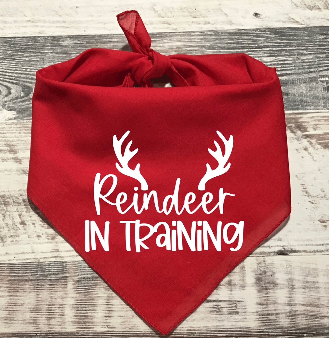 Reindeer in Training Bandana, Christmas Bandana, Reindeer in Training ...