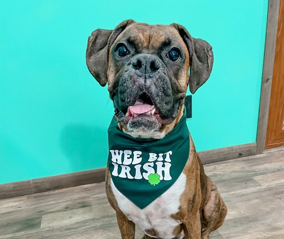 Irish dog bandana store