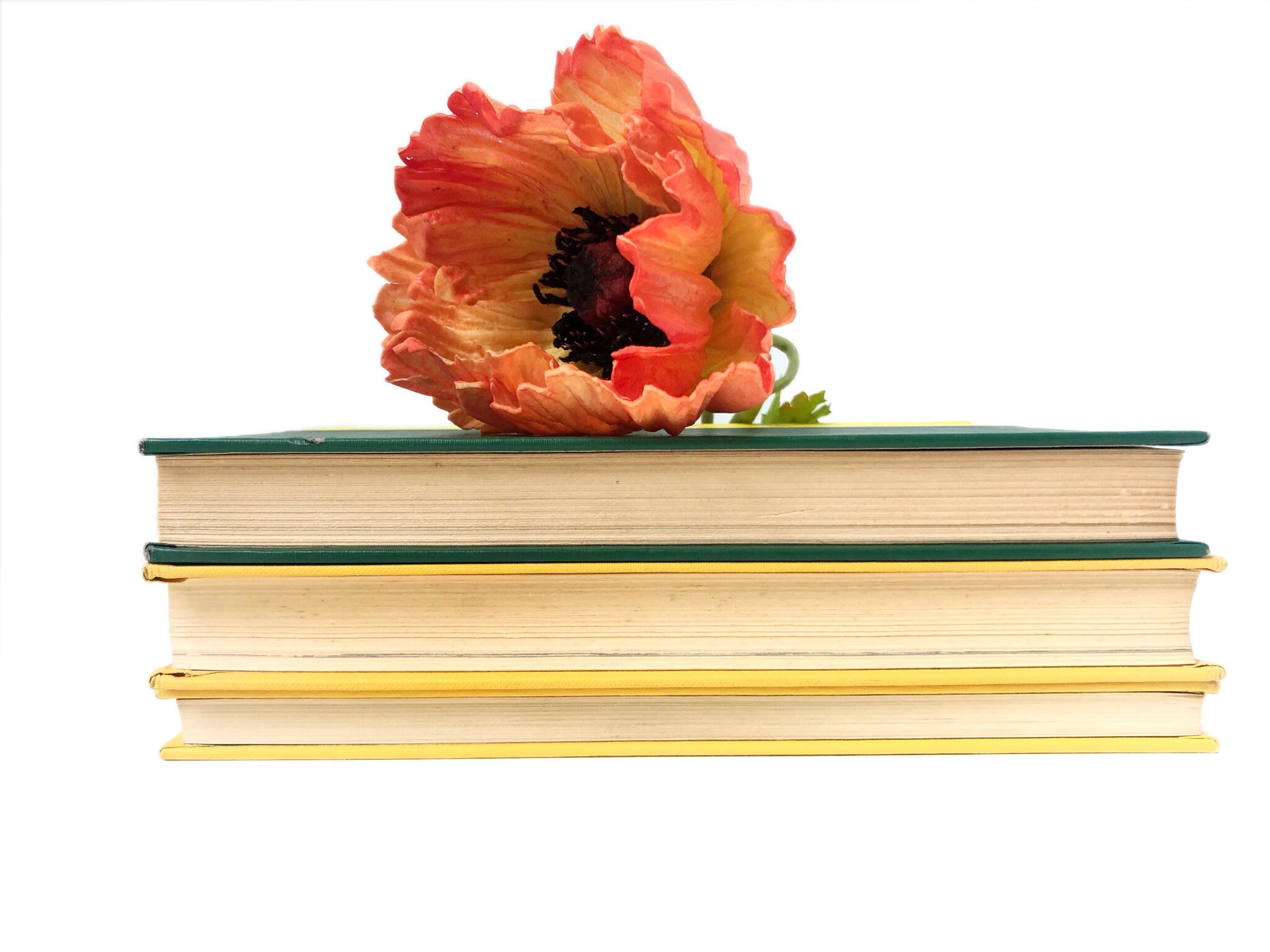 Vintage Yellow FLOWER/PLANT Book Set For Decor Vintage Garden | Etsy