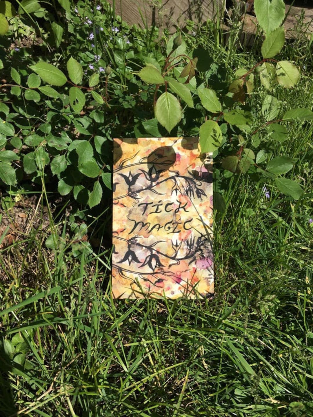 TICK MAGIC ZINE ~ Prevention / Lyme Disease Support / Protection ...