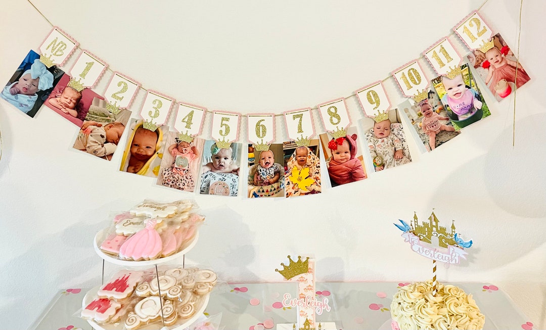 PRINCESS First Year PICTURE BANNER Milestone Photo Holder Princess ...