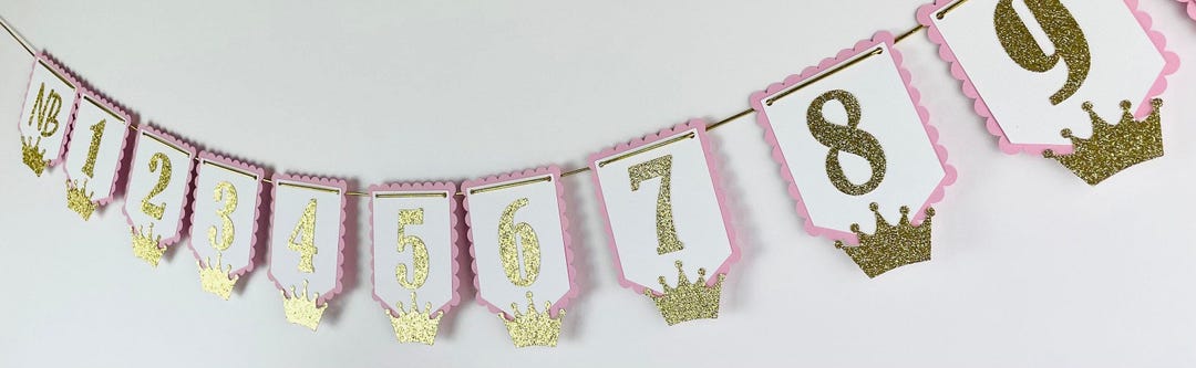 Princess Milestone Banner Monthly Photo Banner Princess Birthday Party ...