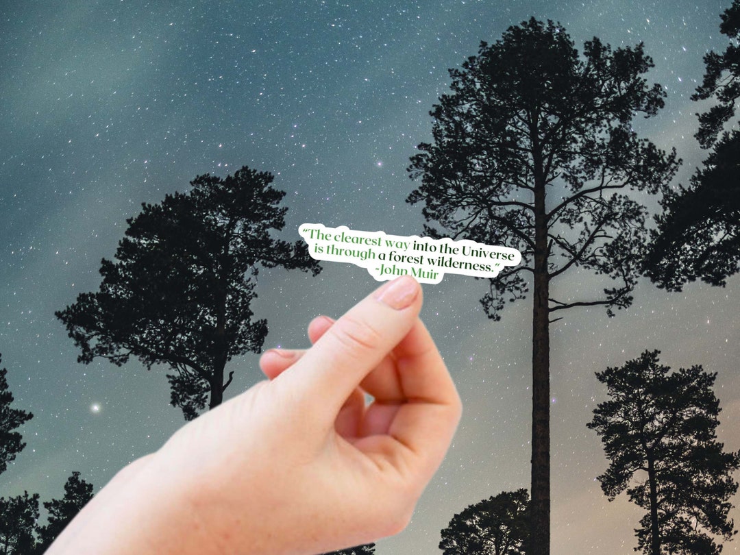 John Muir Sticker Nature Forest Vinyl Sticker for Water Bottle, Phone ...