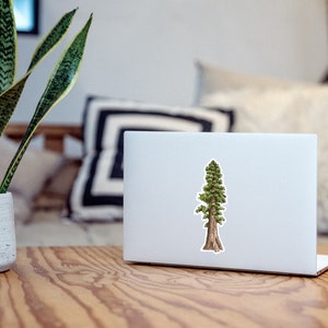 Extra Large Redwood Tree Sticker - Vinyl Waterproof Redwood Forest ...