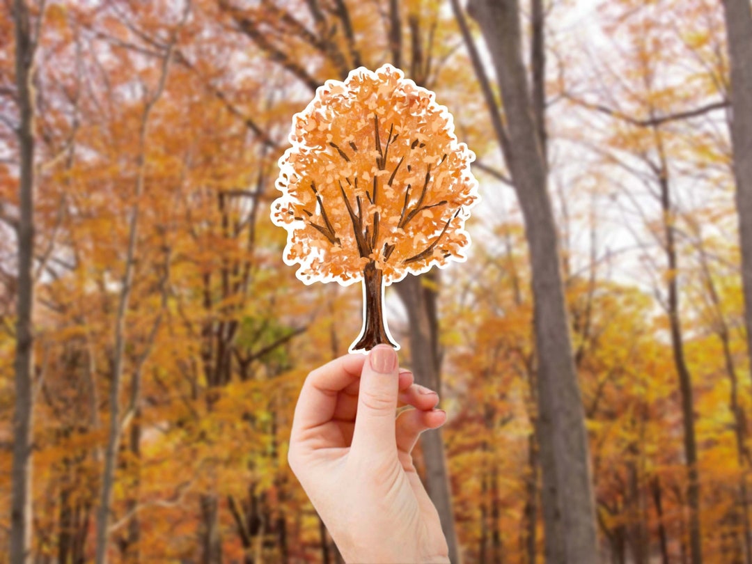 Maple Tree Sticker: Waterproof Vinyl Autumn Decal - Etsy