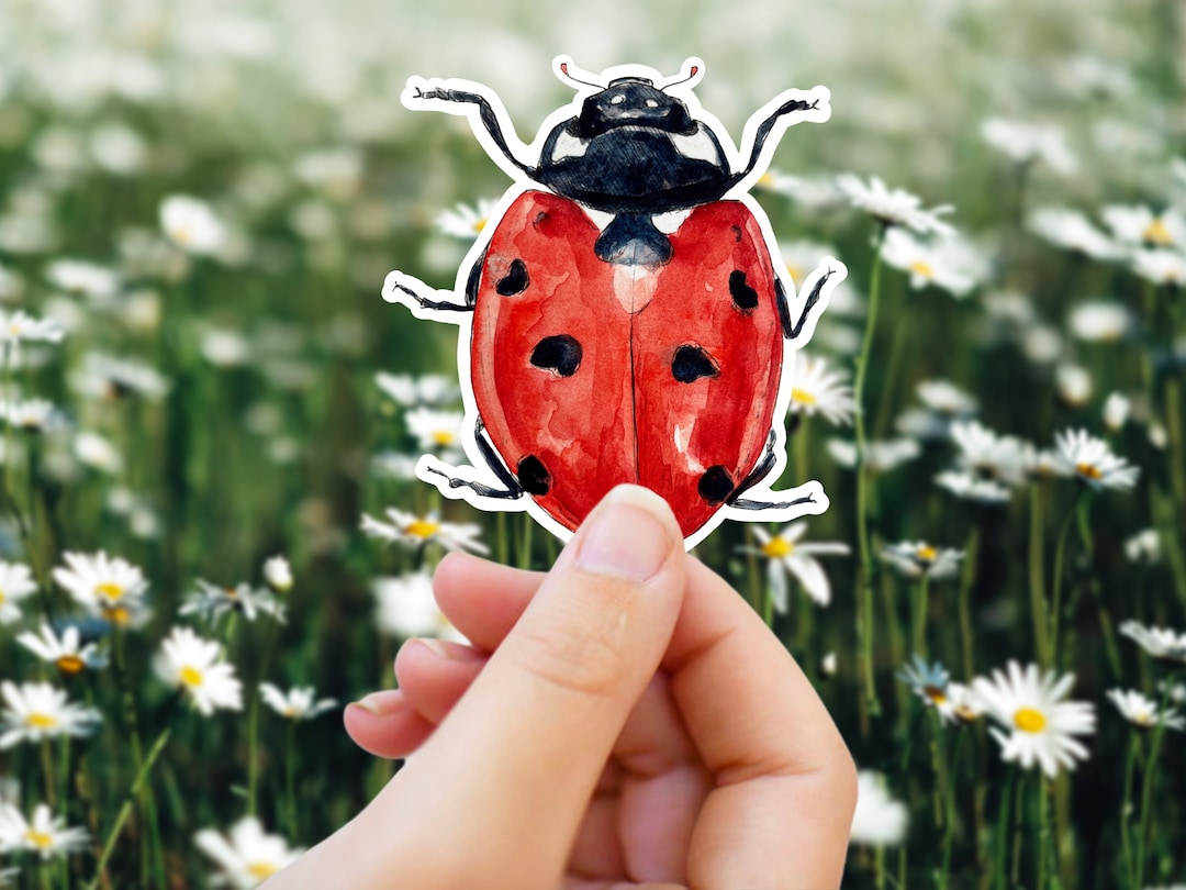 Ladybug Sticker - Vinyl Water Bottle Sticker, Laptop Decal, Cute Insect ...