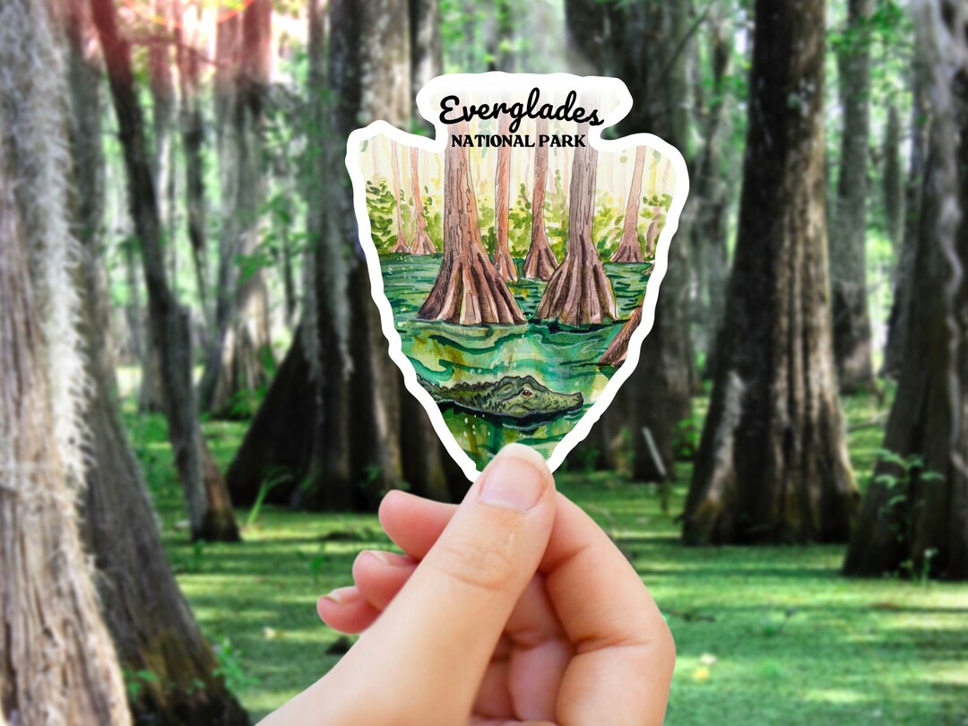 Everglades National Park Sticker: Watercolor Alligator Decal - Etsy