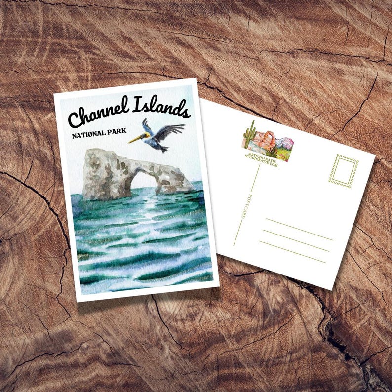 Channel Islands National Park Postcard, National Park Gift, Vintage ...