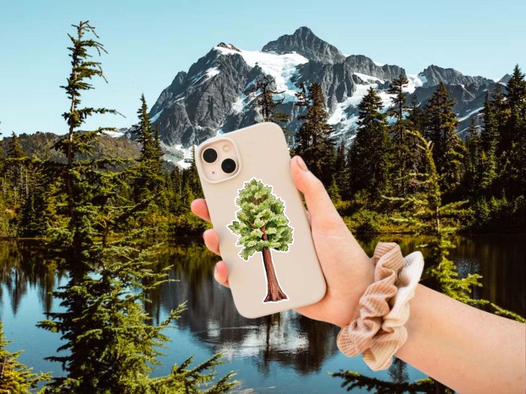 Sequoia Tree Decal - California Forest Waterproof Vinyl Sticker for ...