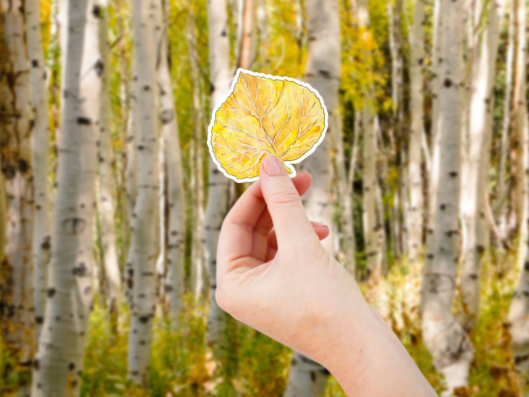 Aspen Leaf Vinyl Sticker: Waterproof Colorado Autumn Decal - Etsy