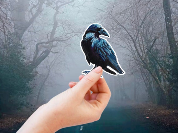 Oiseau Corbeau Effrayant