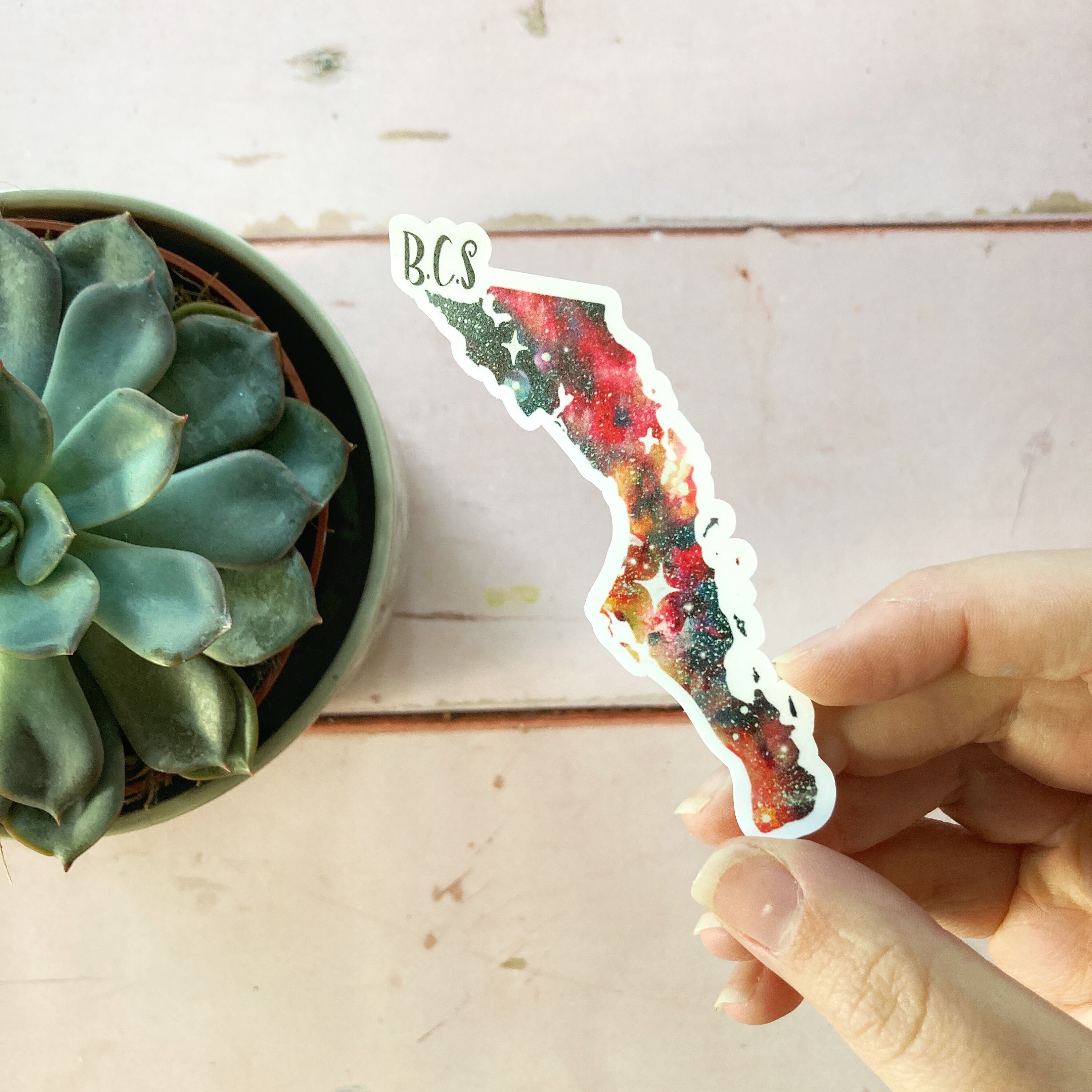 Baja California Sur Sticker Mexico Vinyl Sticker Baja | Etsy