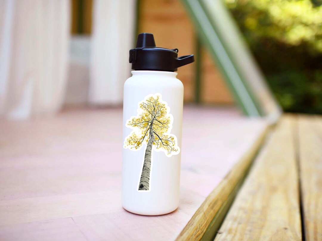 Aspen Tree Sticker: Waterproof Vinyl Decal for Laptop, Tumbler (6.5 ...