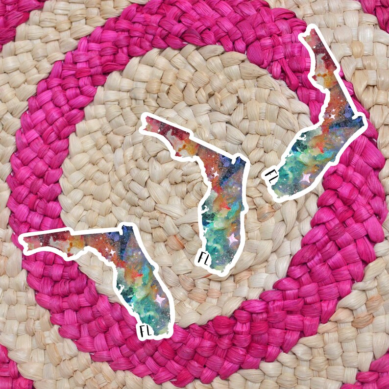 Florida Sticker: Waterproof Vinyl Decal for Laptop, Car, RV - Etsy