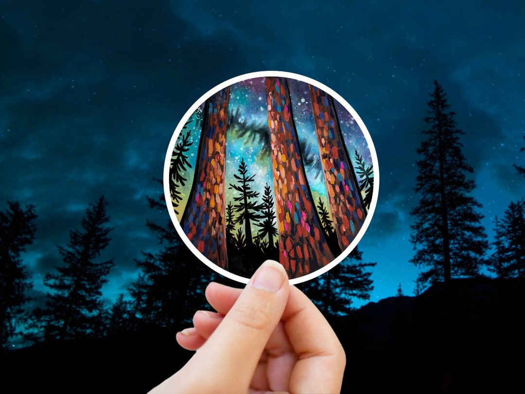Redwood Tree Waterproof Sticker: Nature Laptop Decal - Etsy