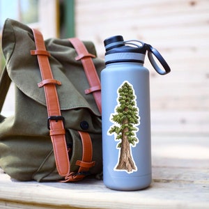 Extra Large Redwood Tree Sticker - Vinyl Waterproof Redwood Forest ...