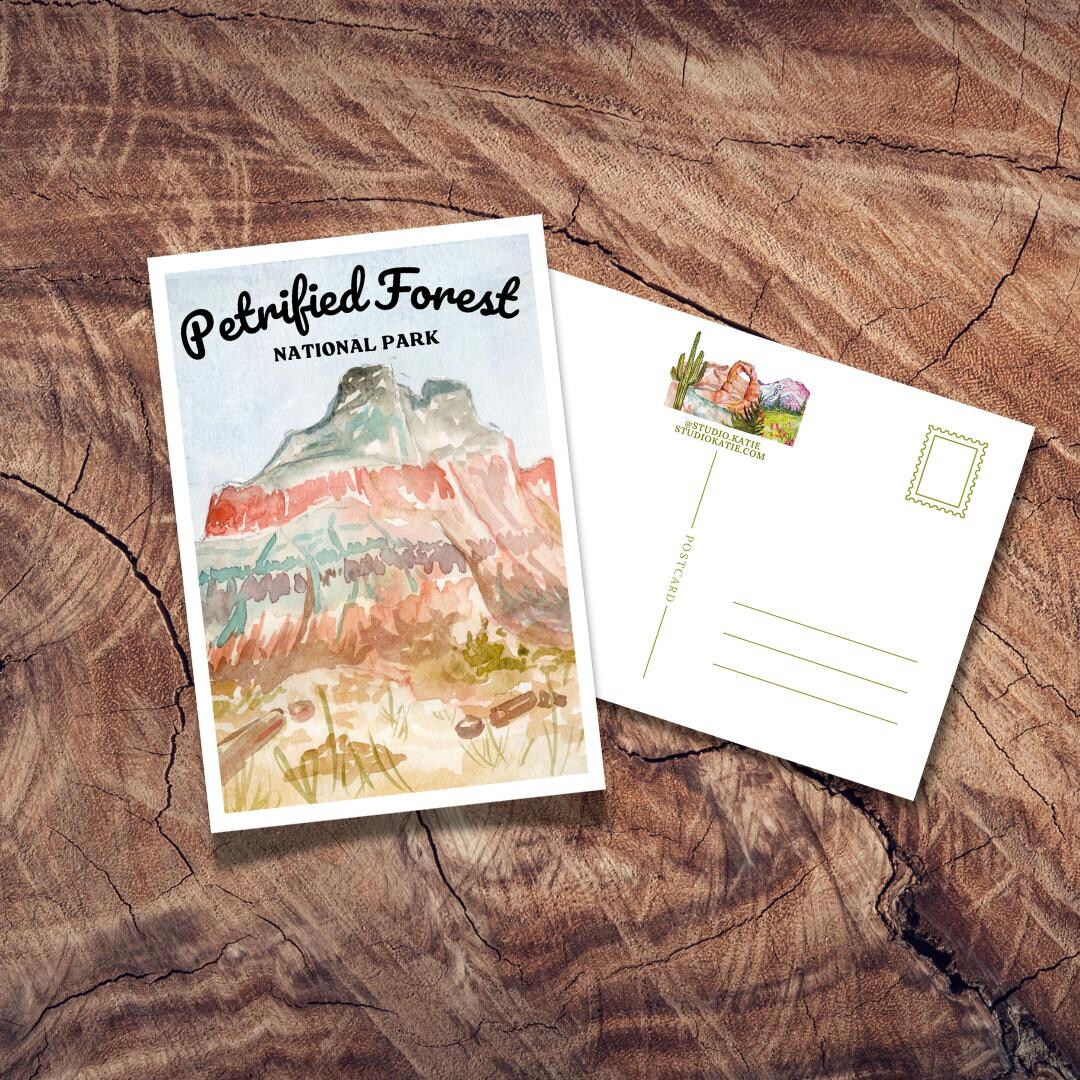 Petrified Forest Postcard, National Park Postcard, Vintage Postcards ...