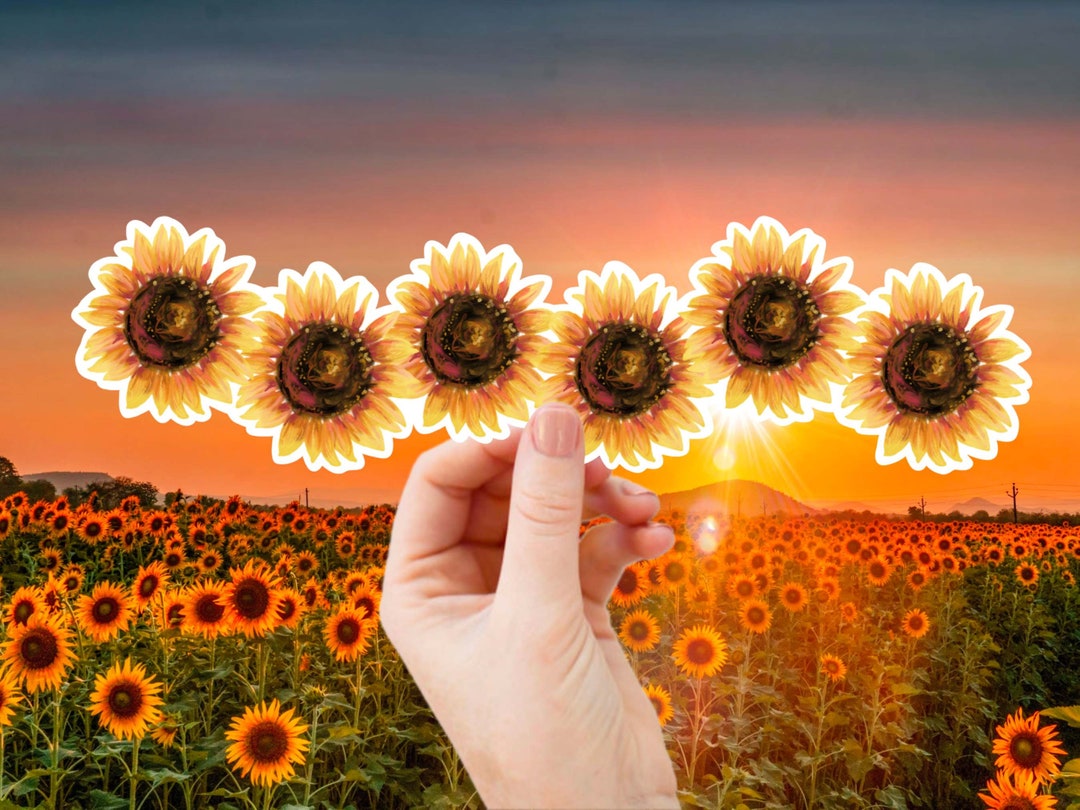 Extra Large Sunflowers Stickers - Sunflower Vinyl Decal, Birth Flower ...