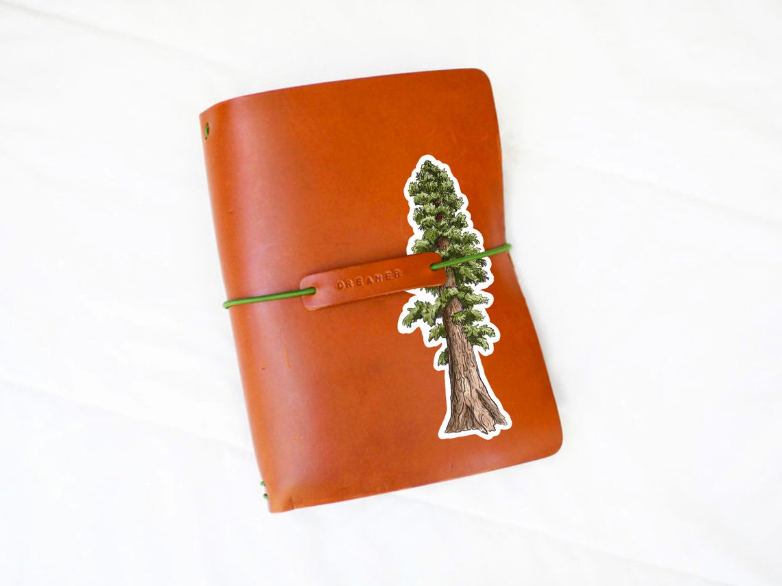 Extra Large Redwood Tree Sticker Vinyl Waterproof Redwood - Etsy