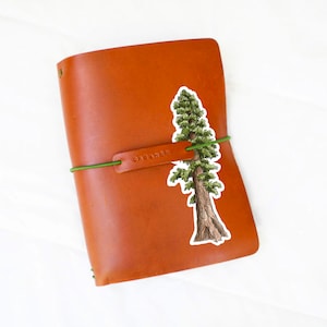 Extra Large Redwood Tree Sticker - Vinyl Waterproof Redwood Forest ...