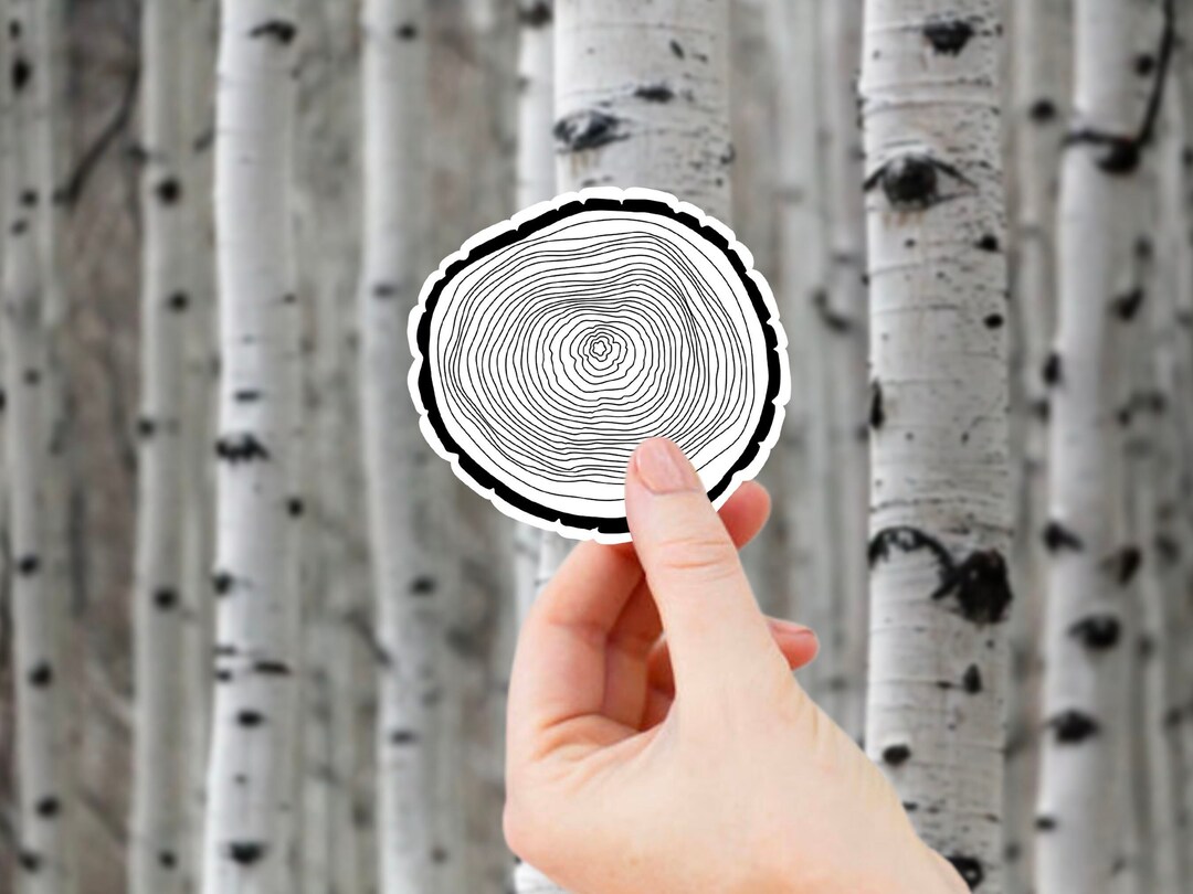 Tree Ring Sticker - Etsy