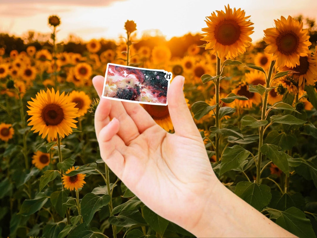 Kansas Sticker, Kansas Decal, Wichita Kansas, Topeka Kansas, Sunflower ...