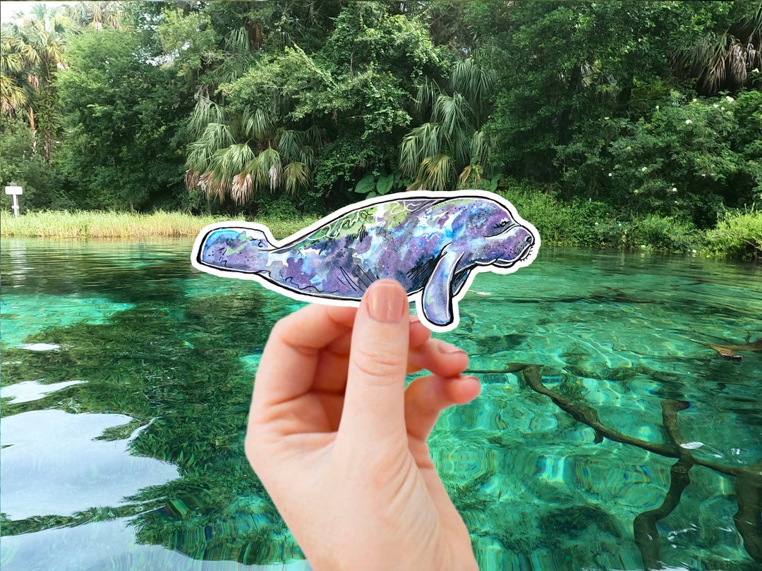 Manatee Sticker, Mermaid Vinyl Sticker for Water Bottle, Florida ...