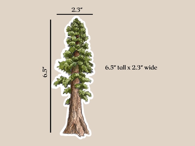 Extra Large Redwood Tree Sticker Vinyl Waterproof Redwood - Etsy
