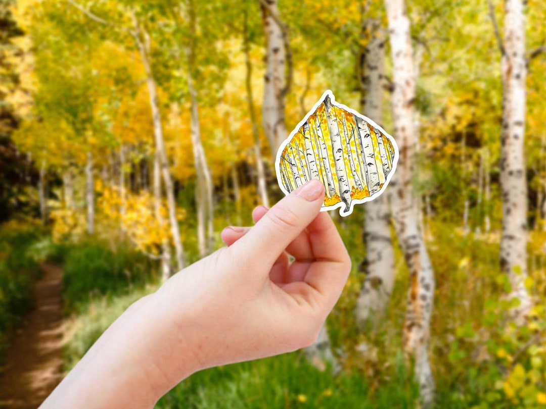Aspen Leaf Sticker: Waterproof Vinyl Decal, Colorado Gift - Etsy