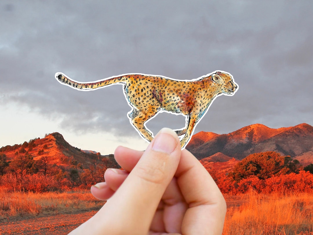 Cheetah Sticker - Vinyl Sticker for Water Bottle, Computer Decal ...