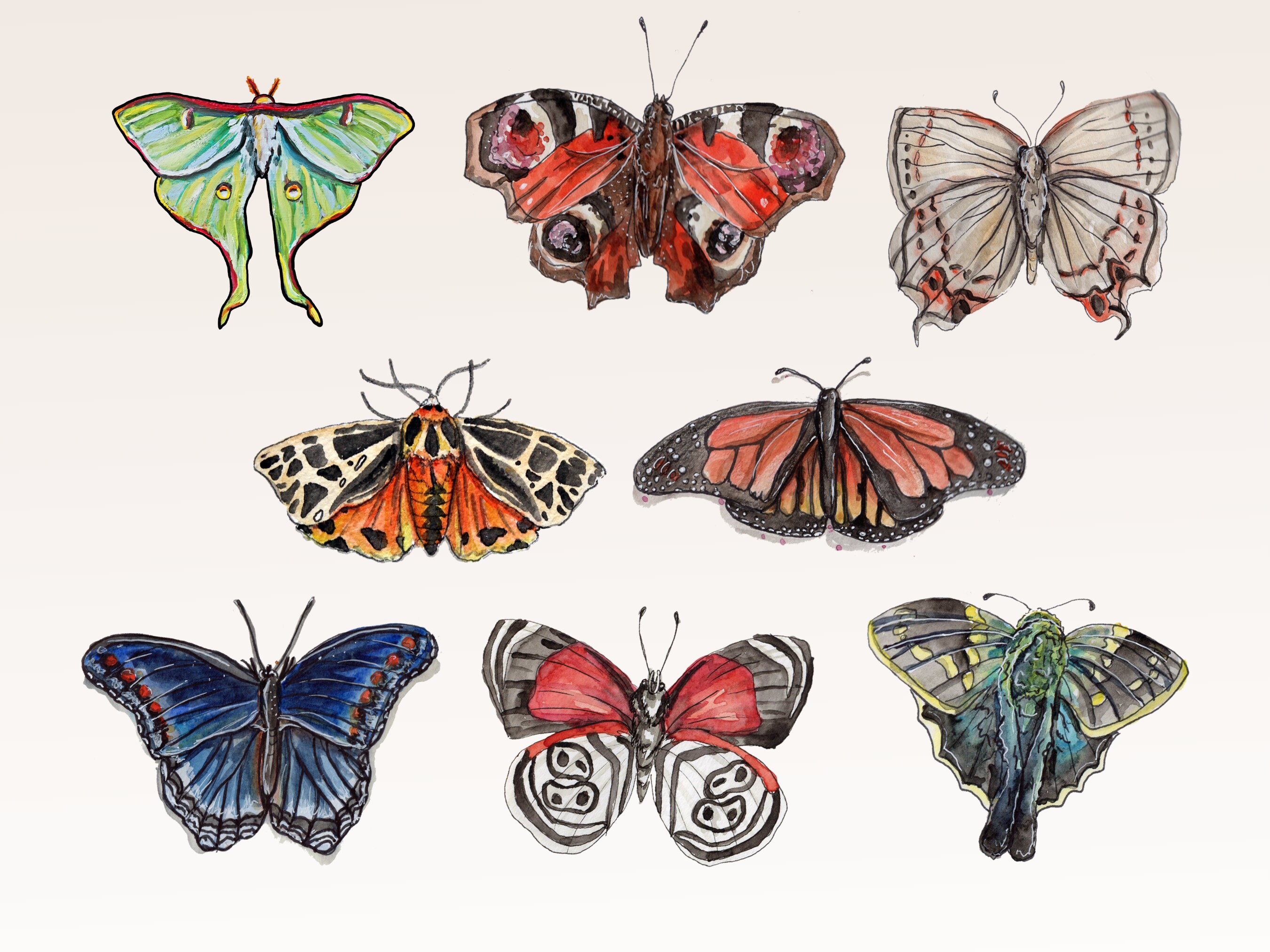 Butterfly Notion Icons Aesthetic Digital Stickers for Life - Etsy