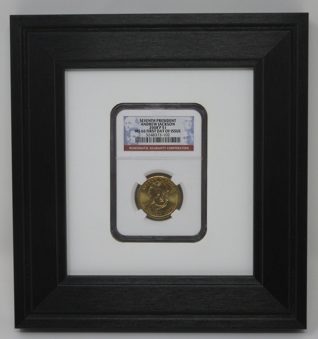 Slabbed Graded Coin Case (not Included) Picture Display Wall Frame for ...