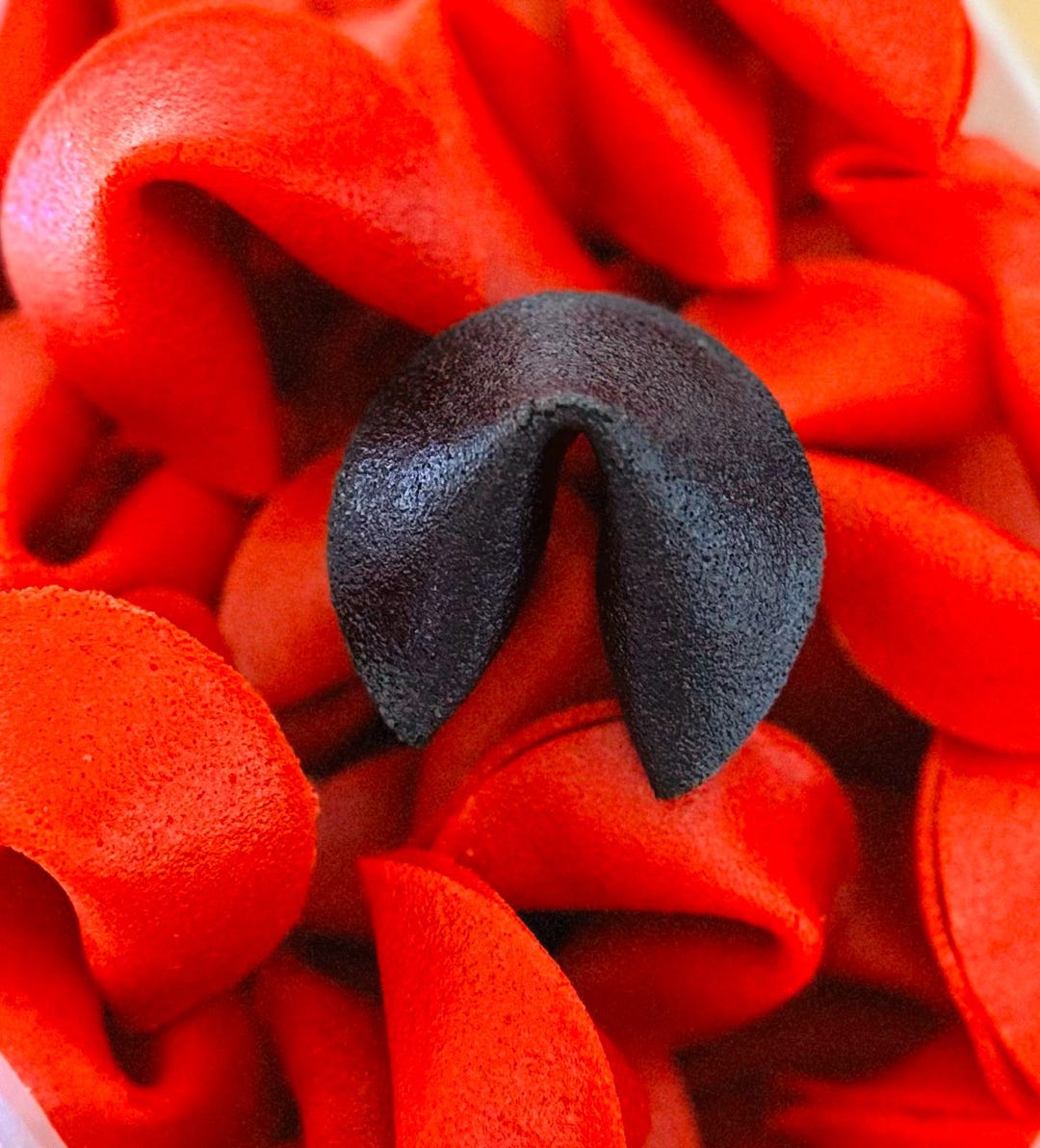 Christmas Fortune Cookie, Personalized Fortune Cookie, Personalized ...