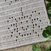 Spider Filet Crochet Blanket, Halloween Special Written Pattern, Easy ...